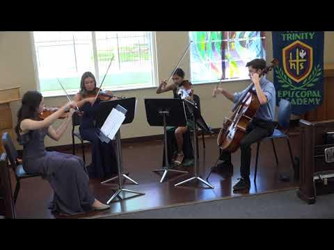 String Quartet in D Minor, Op. 76, No. 2, "Quinten" (Haydn) - Lucciola Quartet - YouTube