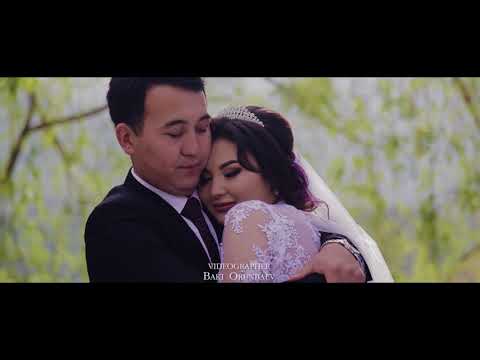 wedding day Shumkar & Aziza