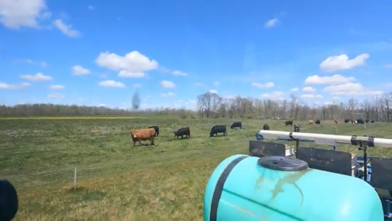 Planting corn into cow pasture will it work? - YouTube