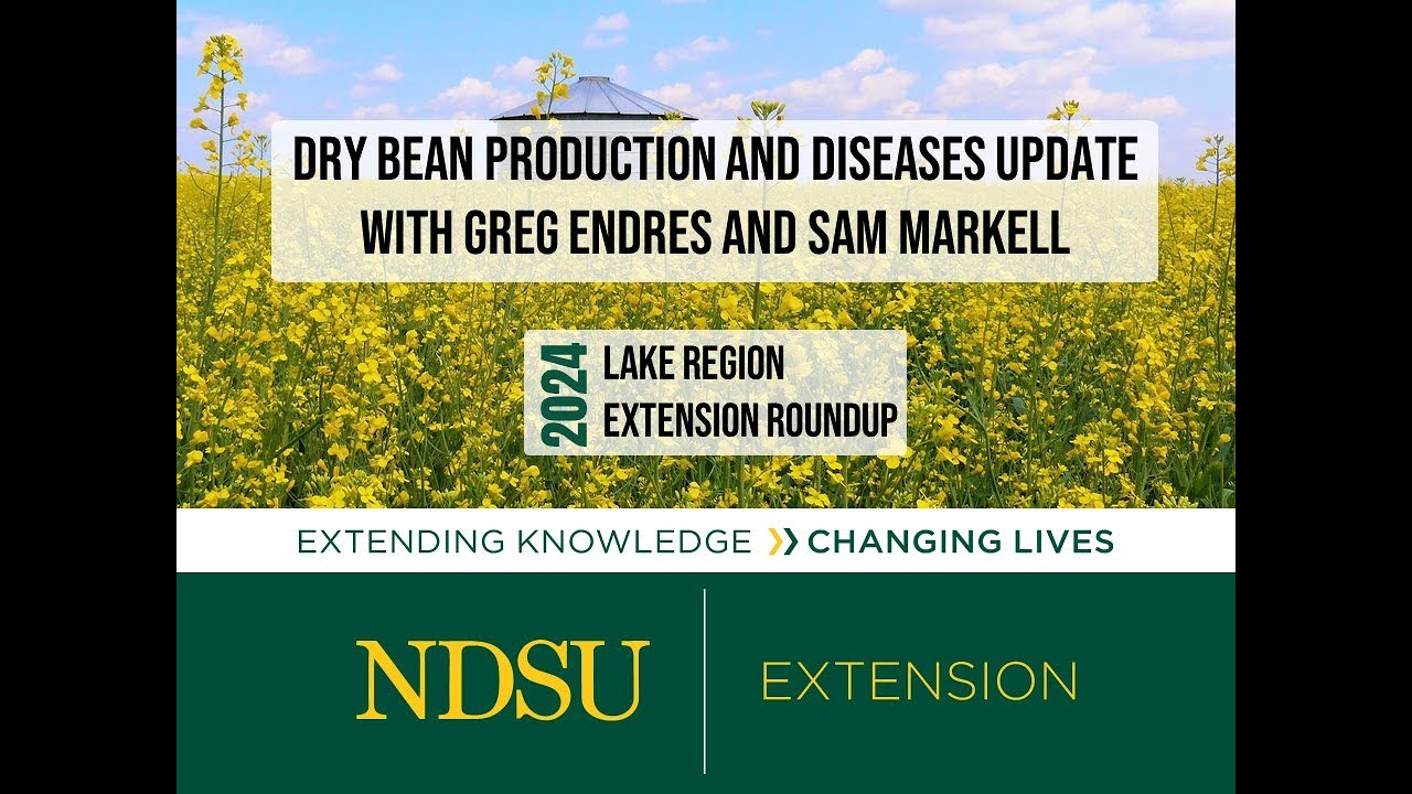 Dry Bean Production and Diseases Update - YouTube