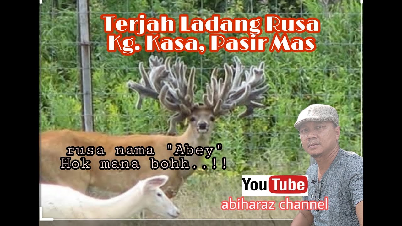 #Vlog20 Terjah Ladang Rusa kg.kasa - YouTube