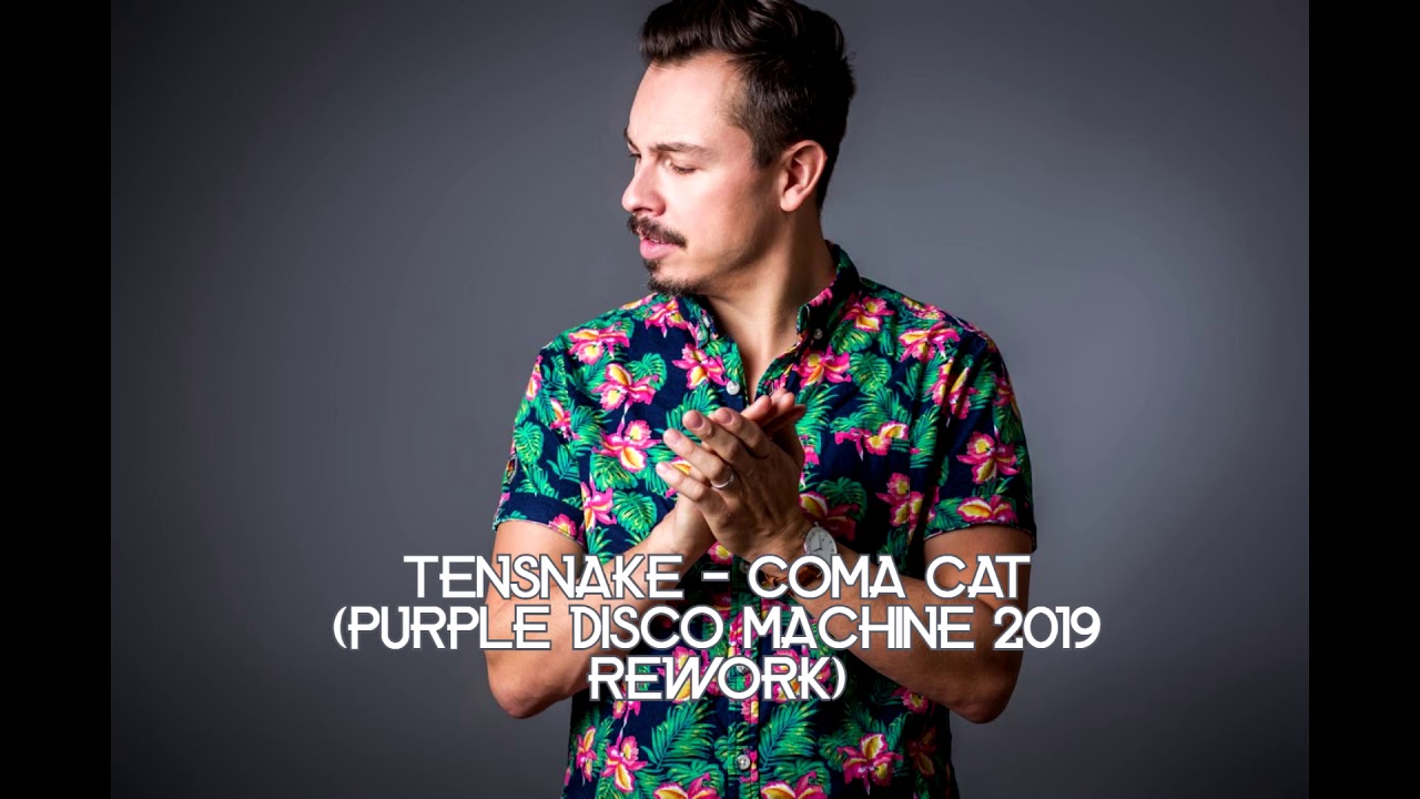 Tensnake - Coma Cat (Purple Disco Machine 2019 Rework) - YouTube