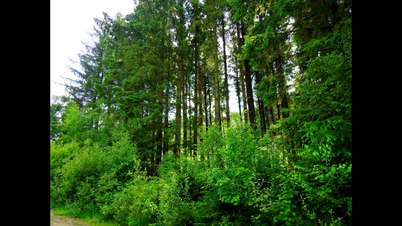 Cynon Valley South Wales. - YouTube