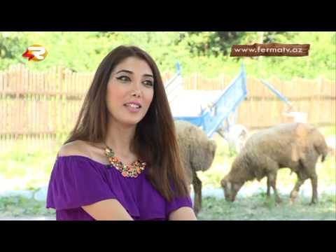 Ayseli qısqanan daha bir xanım.