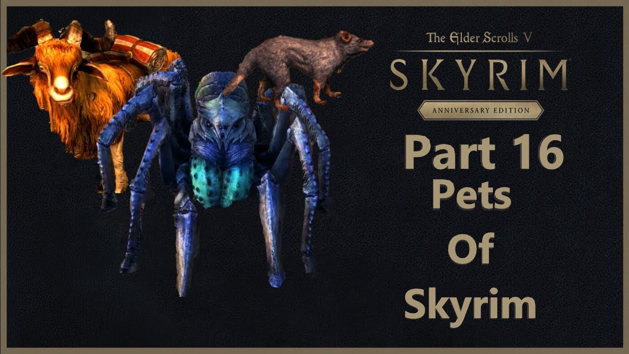 TES V: Skyrim Anniversary Edition - Part 16 - Pets Of Skyrim - YouTube