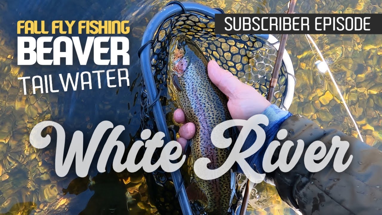 Fall Fly Fishing the White River Beaver Tailwater with Special Guest # ...