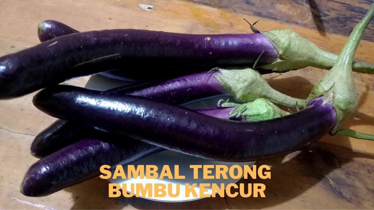 Sambal Terong Rebus Bumbu Kencur - enak, Seger dan sehat - YouTube