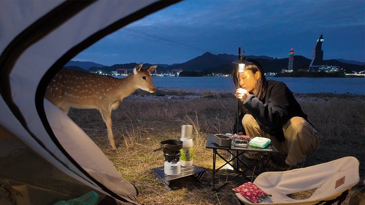 [264] Injured by deer antlers and broken camera lens | Solo backpacking ...