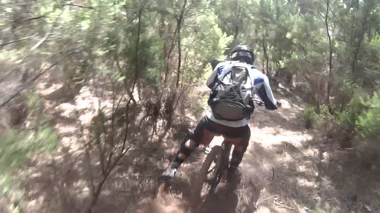 monster canary crazy 2 - YouTube