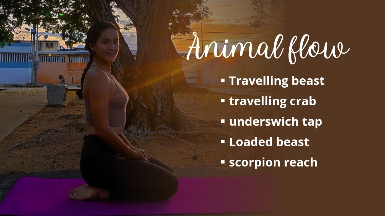 5 ejercicios básicos animal flow / Guía paso a paso - YouTube