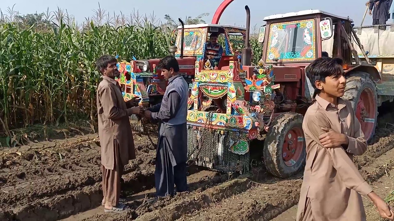 MF 265 Tractor Fail Heavy Loaded Trali--Tractor Trali Sunt - YouTube