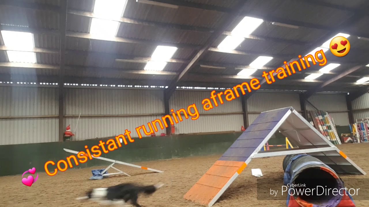 Dog agility running Aframe training - YouTube