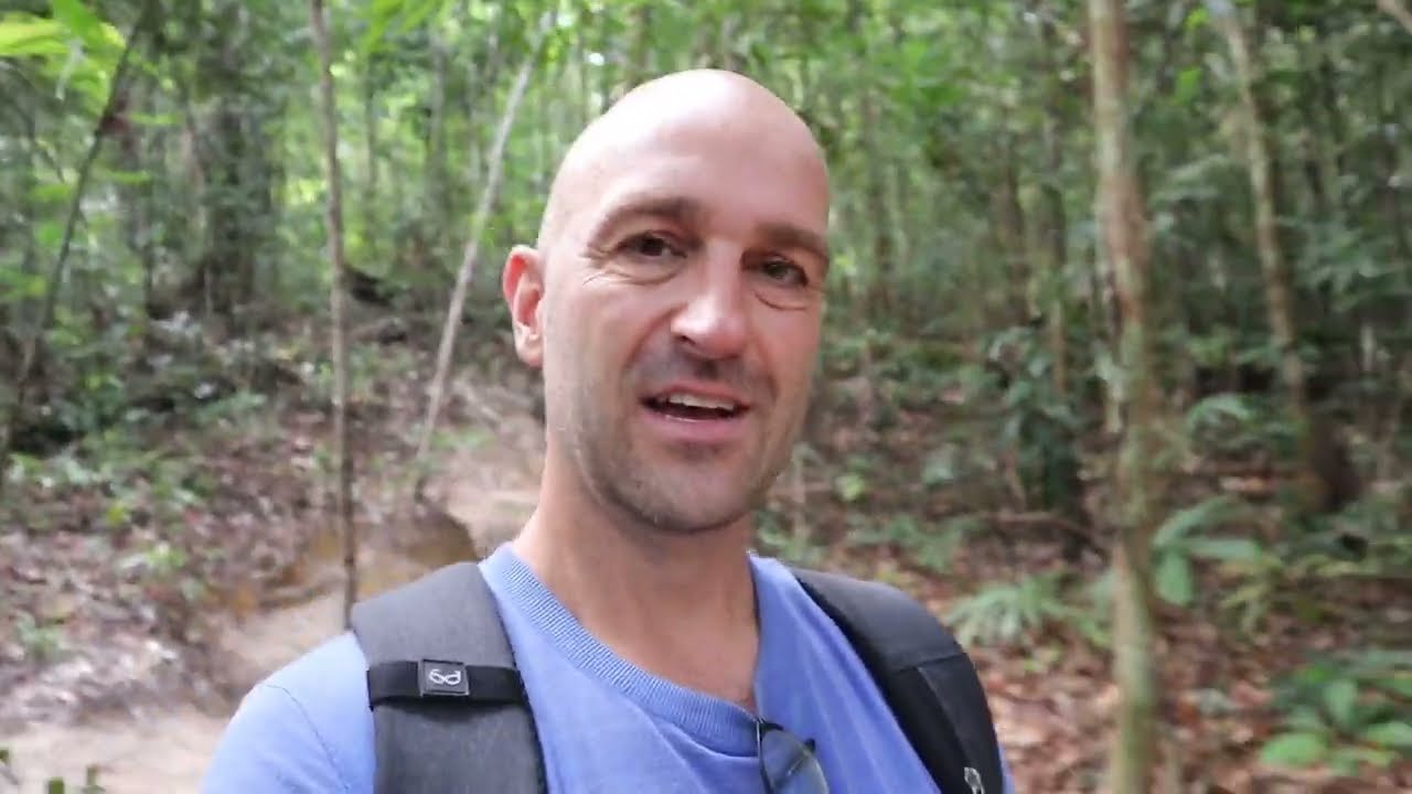 Why I quit my PhD (I wish I knew this at the start) - YouTube