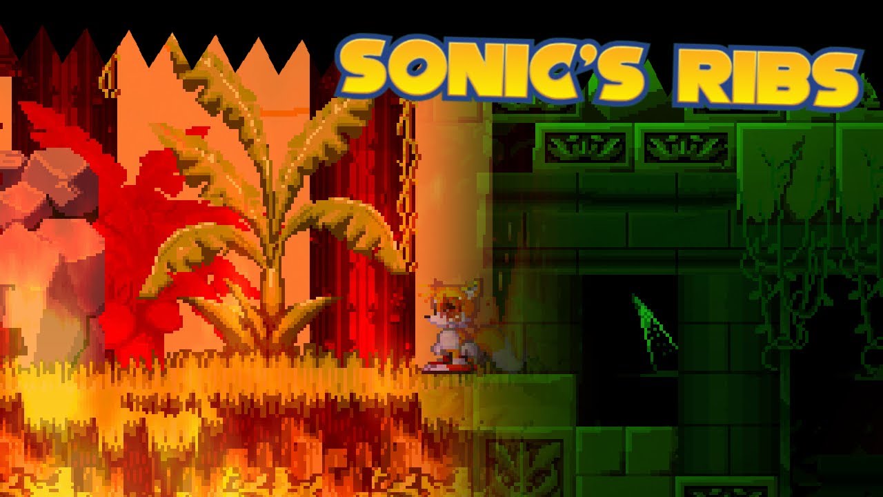 Sonic's Ribs - A Completely NORMAL Sonic Game - YouTube