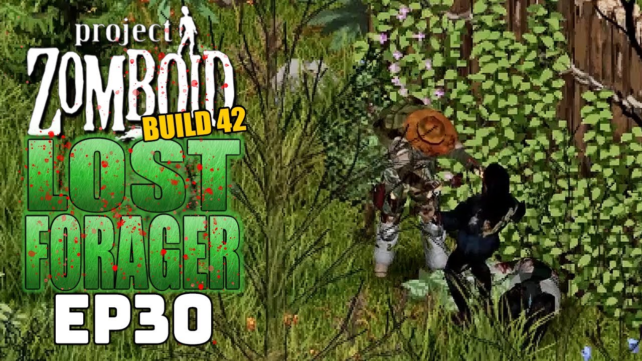Forbidden Forest! | Project Zomboid Build 42 | Ep 30 - YouTube