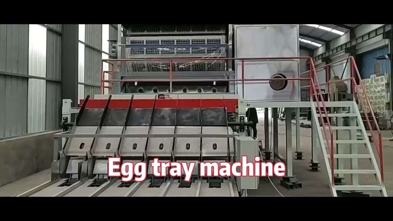 6x8 egg tray machine production line with metal dryer / auto counter ...