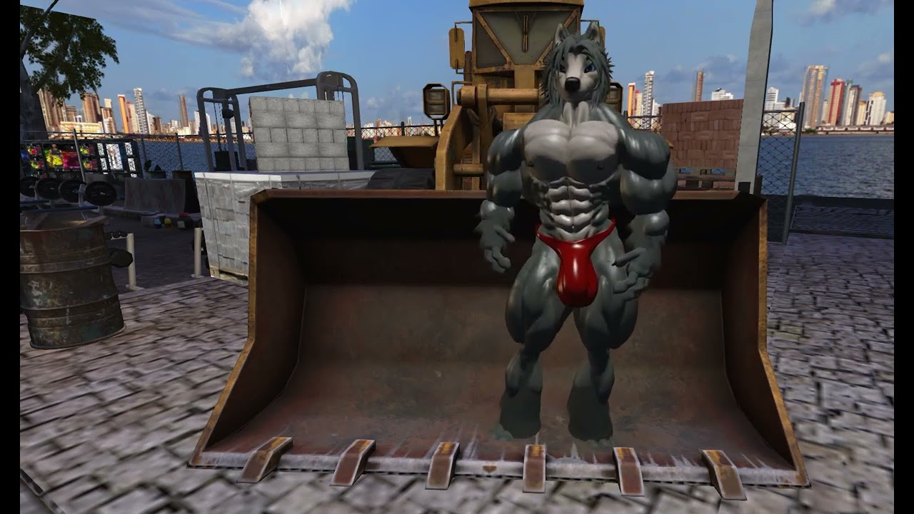 Wolf - Muscle Show - YouTube