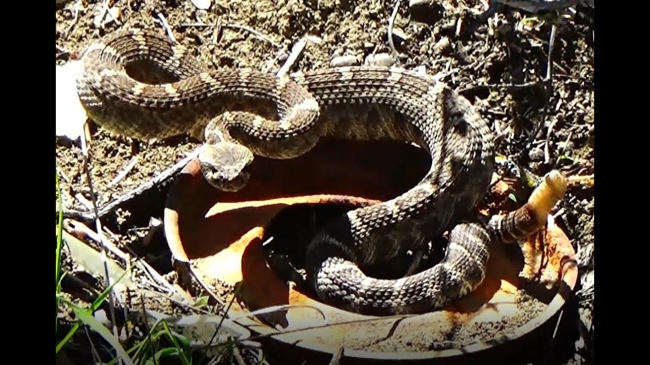 Clear Creek New Idria - YouTube