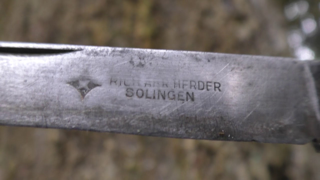 Hars boom gevonden in het bos - YouTube