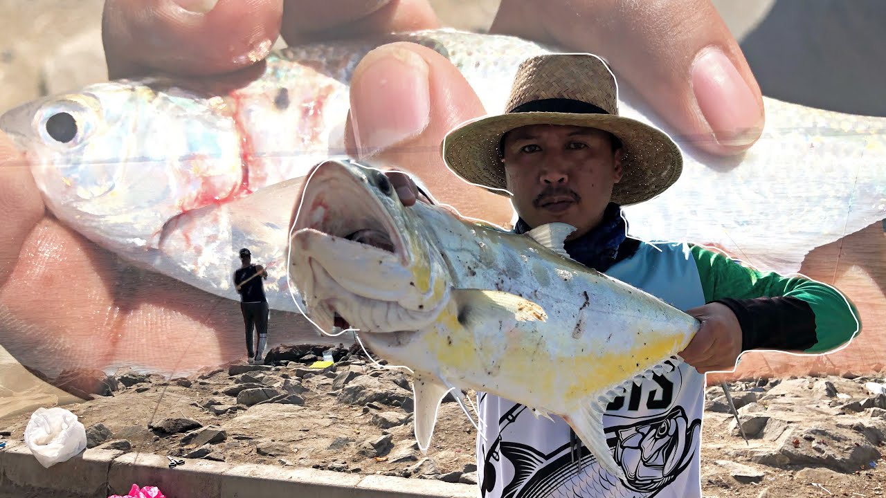 Kabasi Is Back At The AFOC Fishing Spot! - YouTube