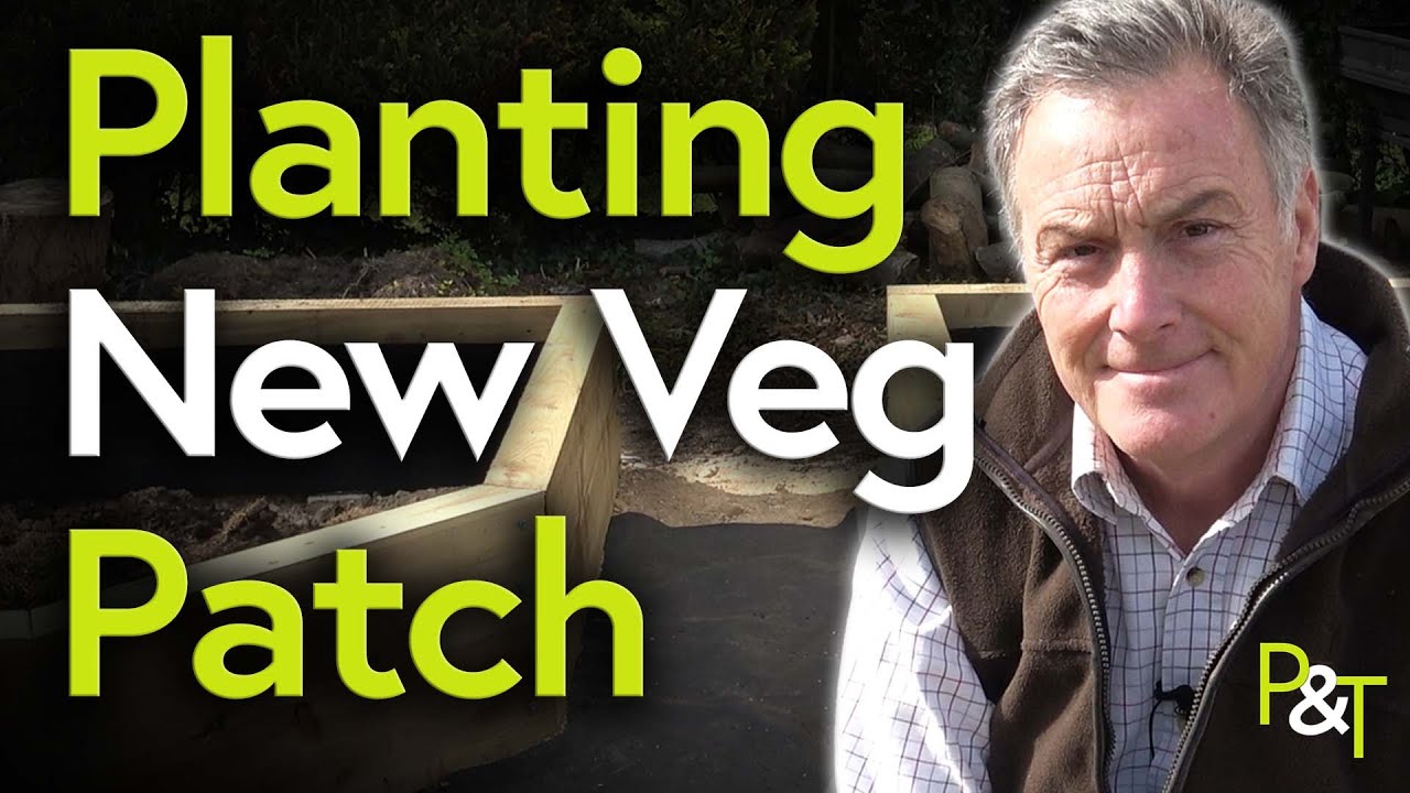 How to Prepare a New Vegetable Patch (Veggie Plot) - Pots & Trowels ...