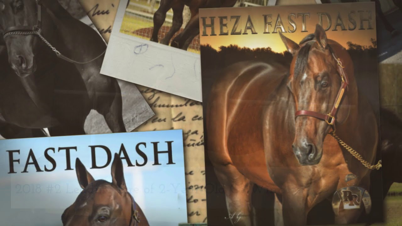 Heza Fast Dash - YouTube