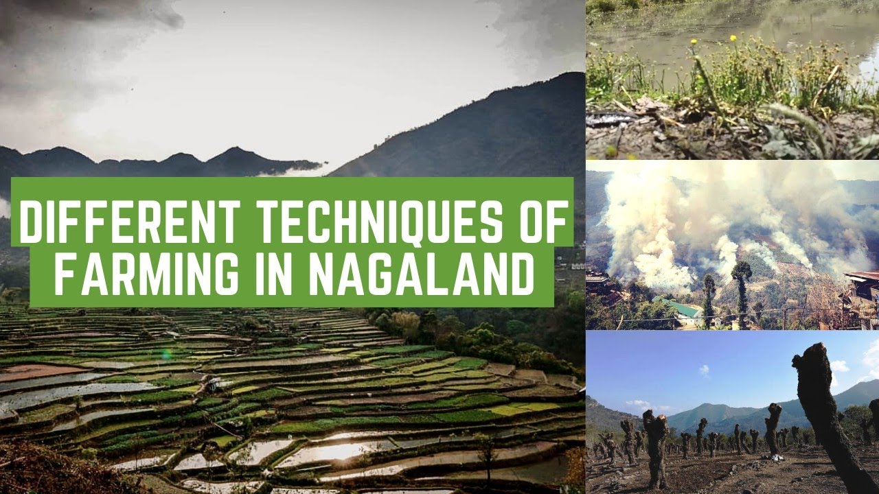 Different Techniques of Farming in Nagaland - YouTube