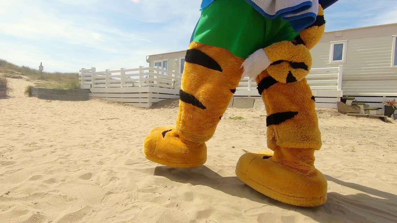 Rory the Tiger Has Been Enjoying the Heatwave | Haven - YouTube