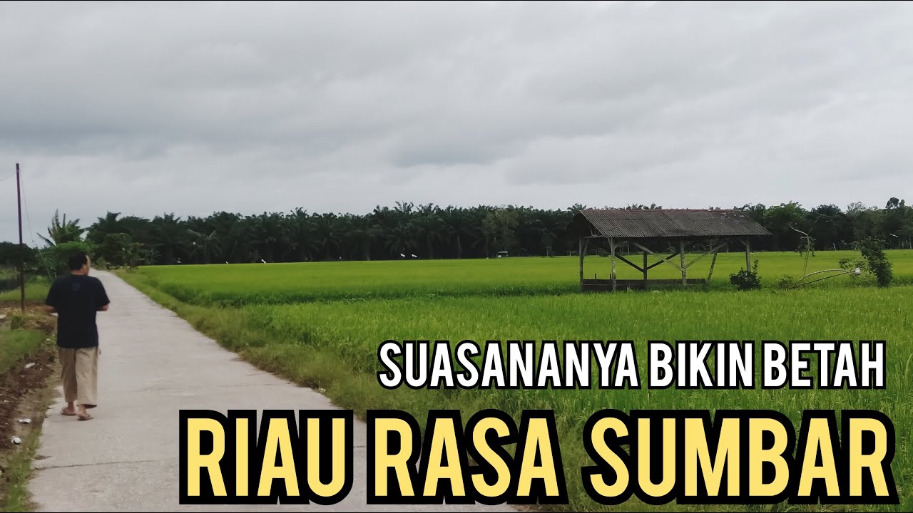 Indahnya Desa Bunga Raya Kabupaten Siak Provinsi Riau - YouTube