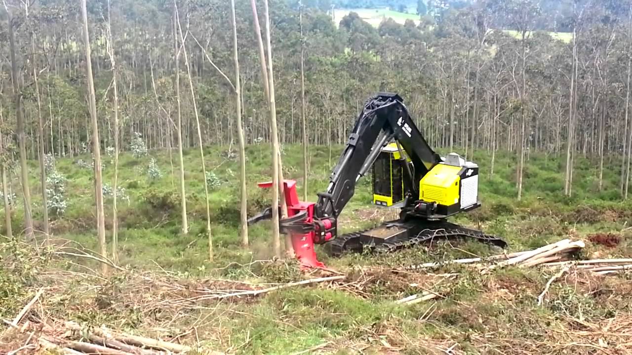 TL725B FELLER BUNCHER with TimberPro TDS-22 Disc Saw - YouTube