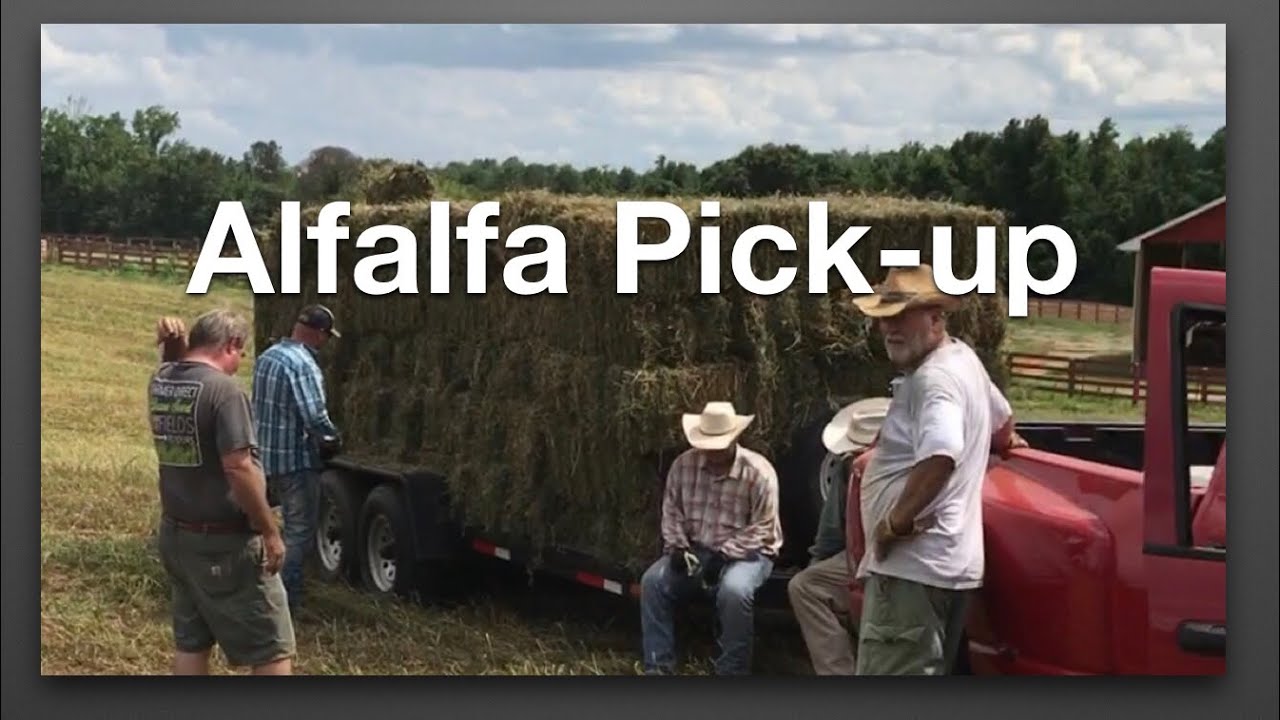 Picking up bales of alfalfa in Madison, Georgia - YouTube