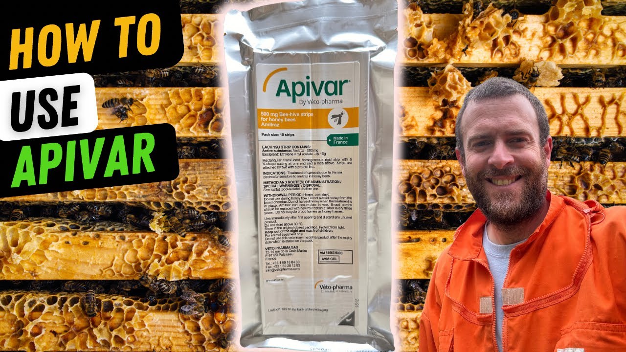 How to use Apivar To Treat Your Bees For Varroa Mites. Beefarmer's ...
