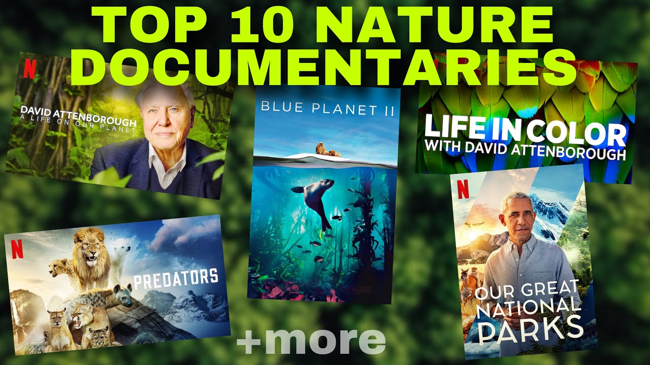 TOP 10 MOST AMAZING NATURE DOCUMENTARIES | PART 2 - YouTube