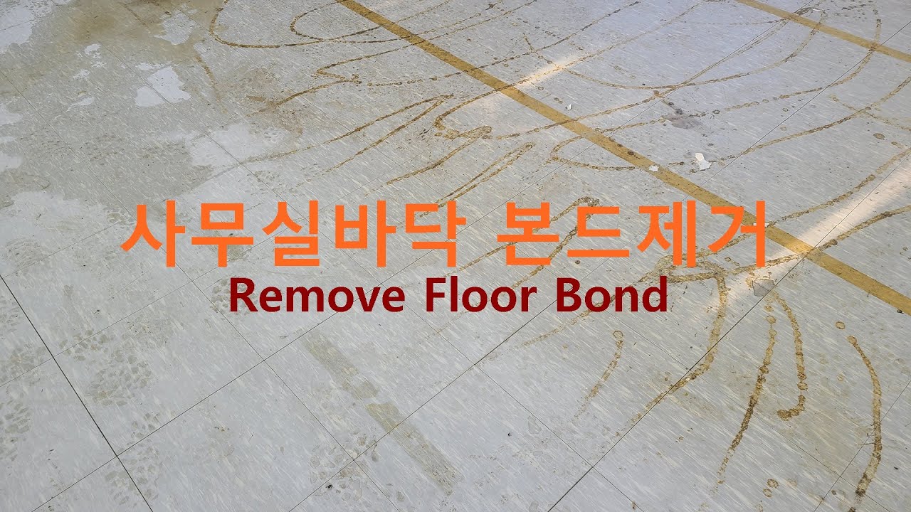 사무실바닥본드제거 Remove Floor Bond - YouTube