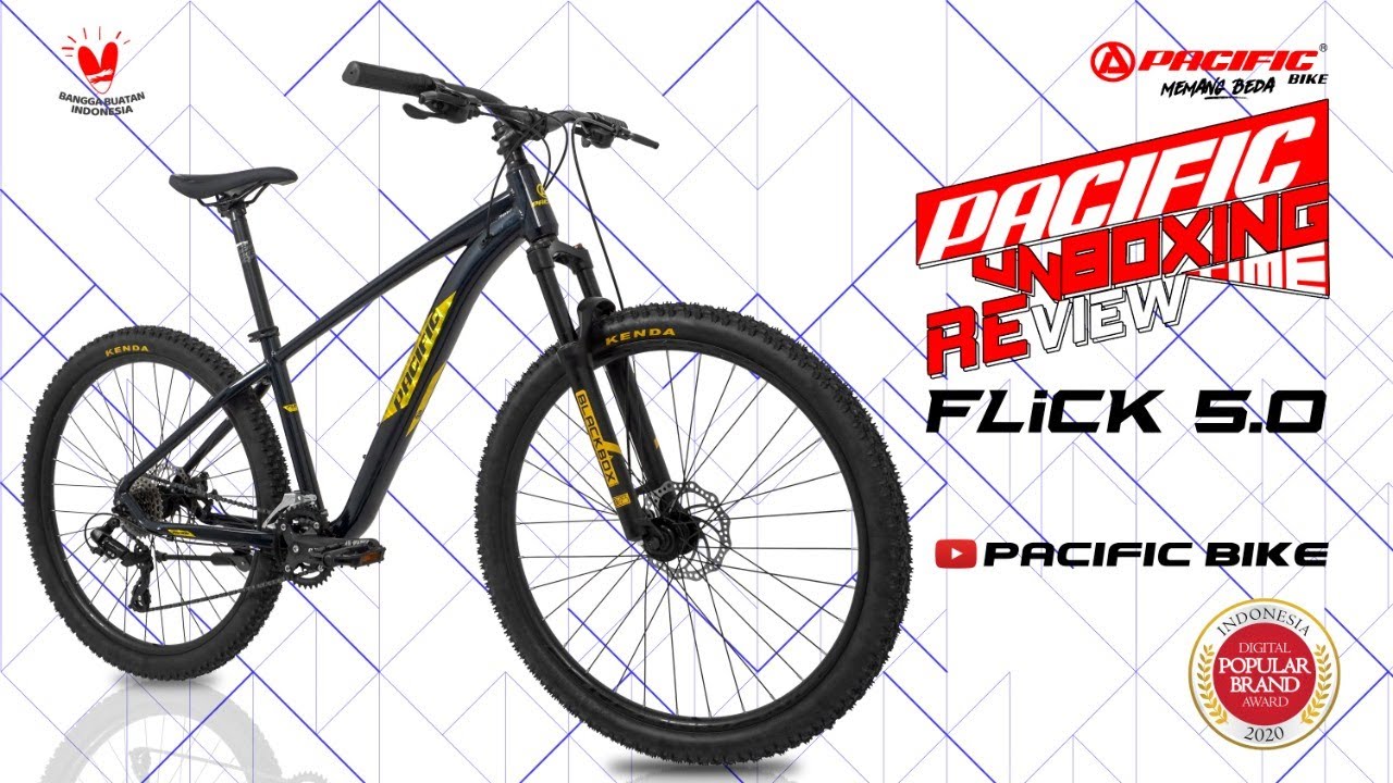 REVIEW MTB FLICK 5.0 - YouTube