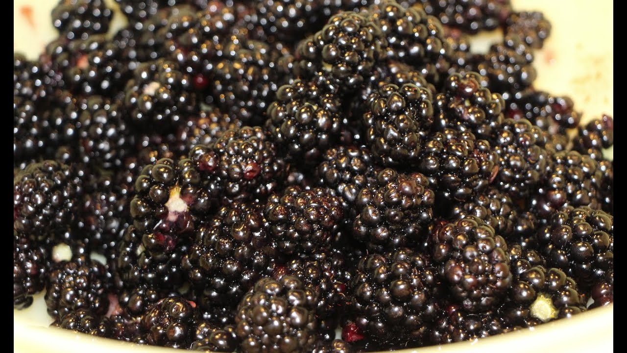 BEST HOME MADE APPLE RASPBERRY JELLY/SIMPLE AND EASY RECIPE TO FOLLOW ...