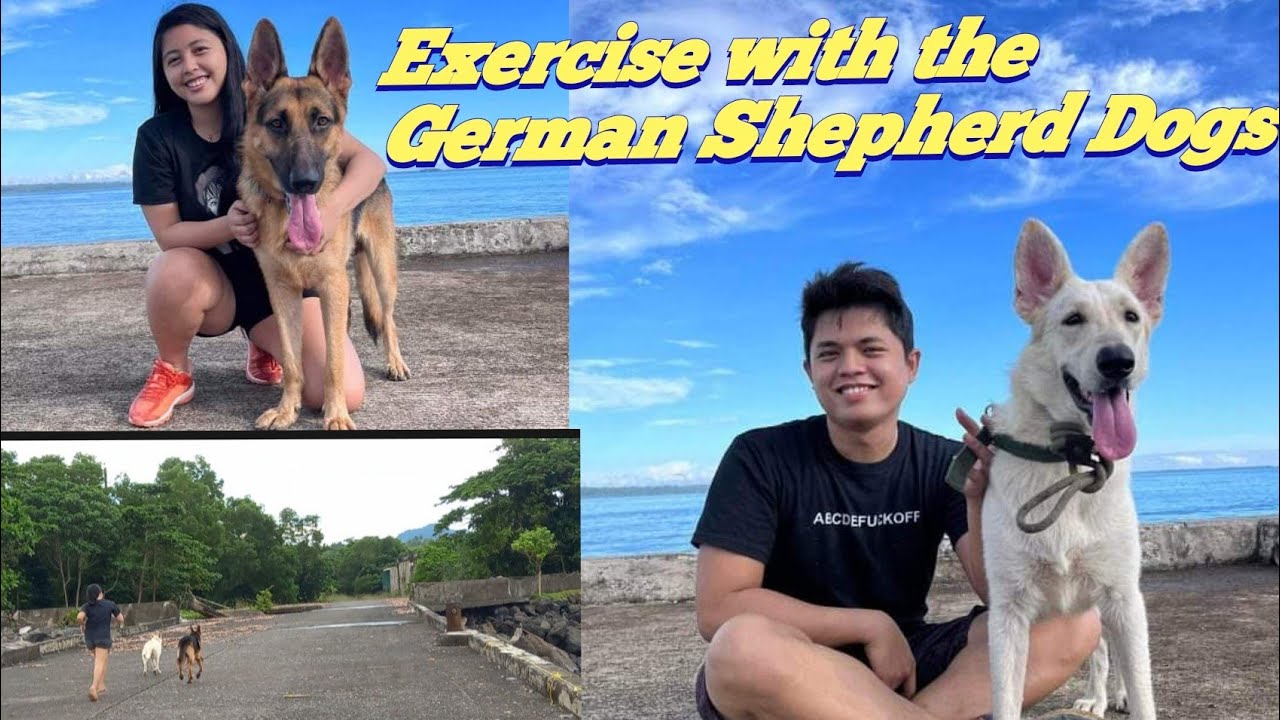 EXERCISE WITH THE GERMAN SHEPHERD DOGS - YouTube