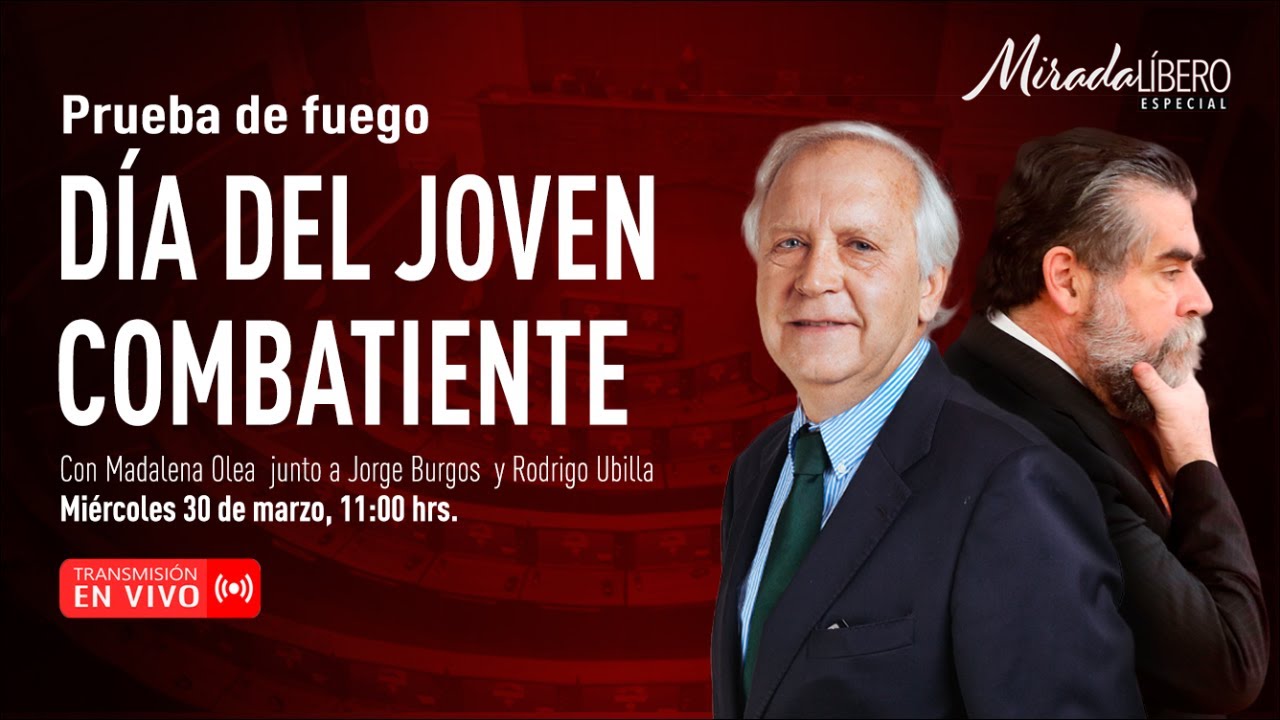 Rodrigo Ubilla por violencia: "Boric debe dar garantías a los ...