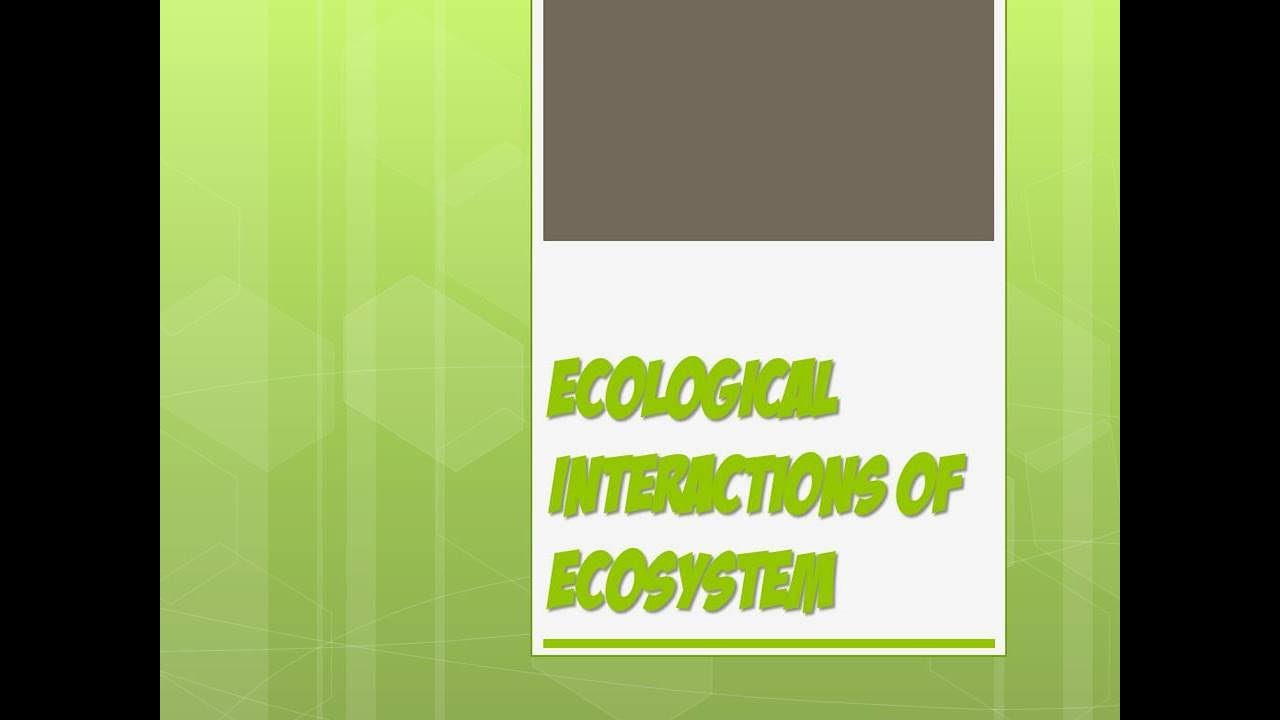 Lesson 8: Ecological Interaction of Ecosystem - YouTube