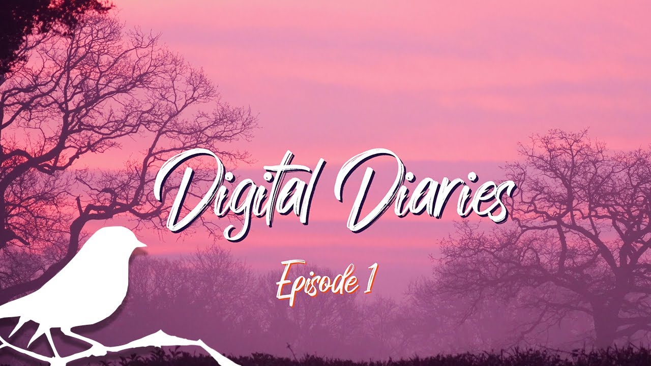 Digital Diaries: Episode 1 | Robins - YouTube