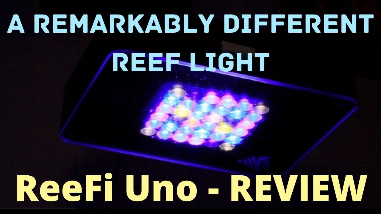 ReeFi Uno Review - A Remarkably Different Reef Light - YouTube