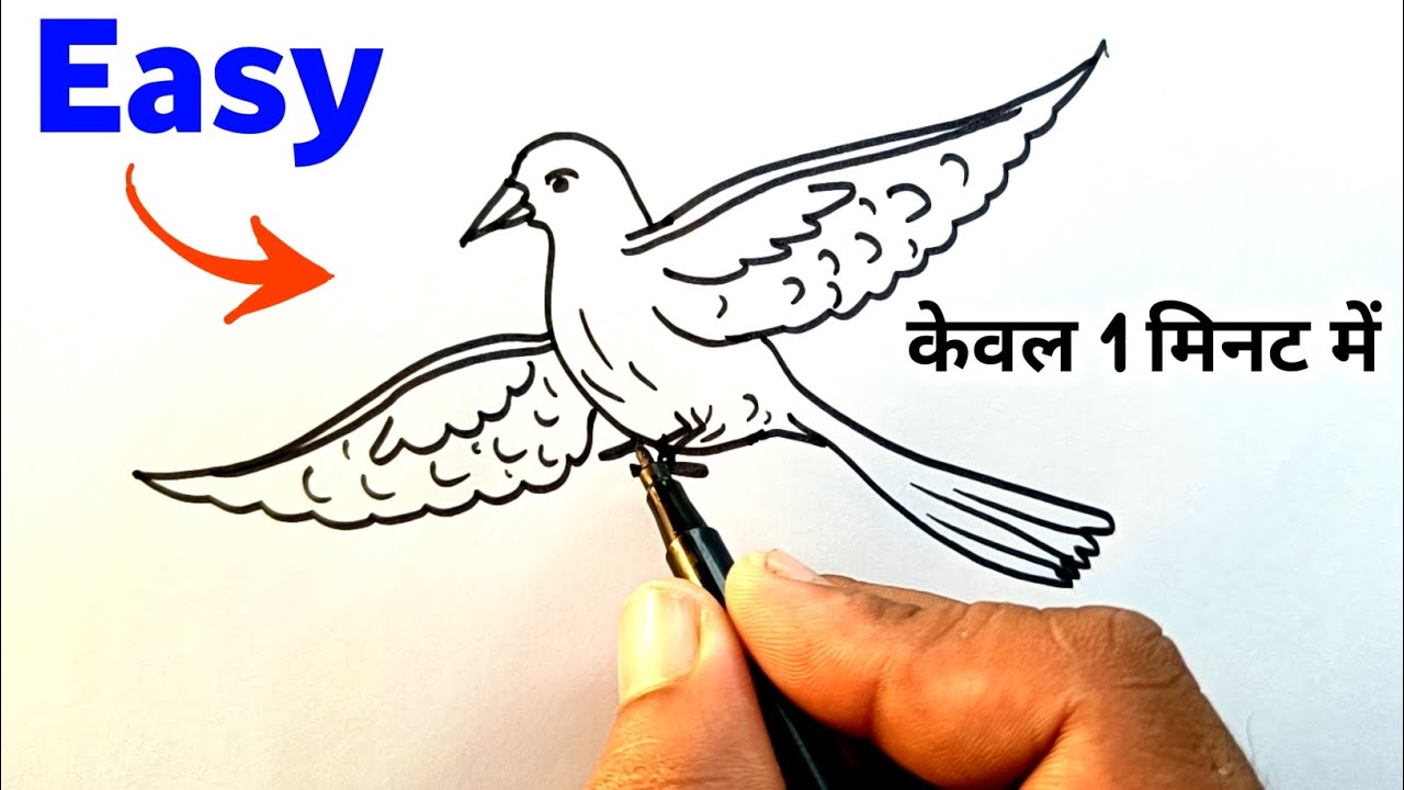 👉उड़ती हुयी चिड़िया बनाने का सबसे आसान तरीका/ How to draw flying bird ...