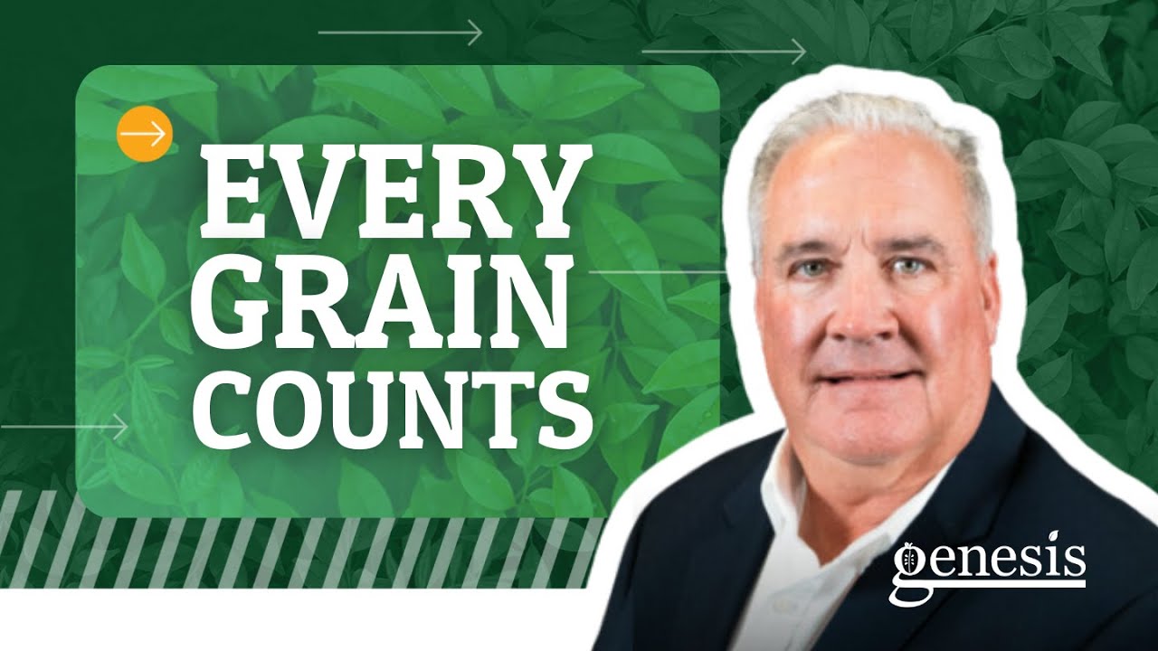 Where Every Grain Counts - YouTube