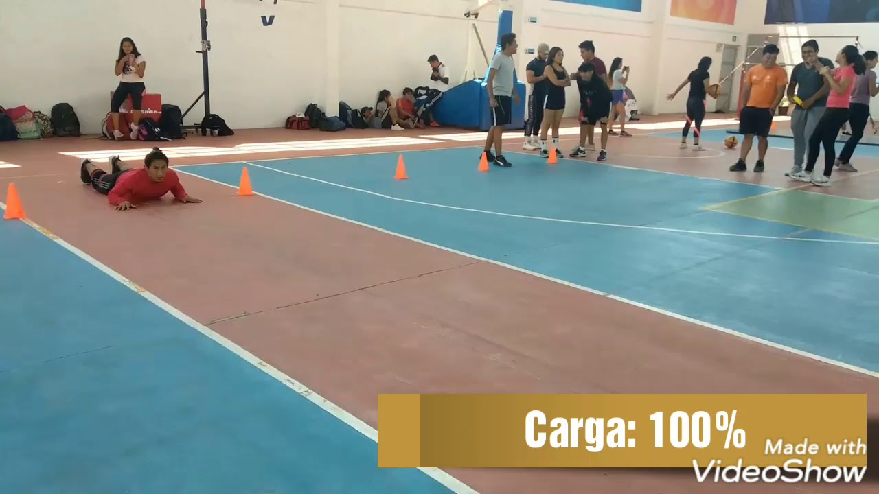 Salida pecho tierra ante un estímulo auditivo-velicidad/ El torito ...