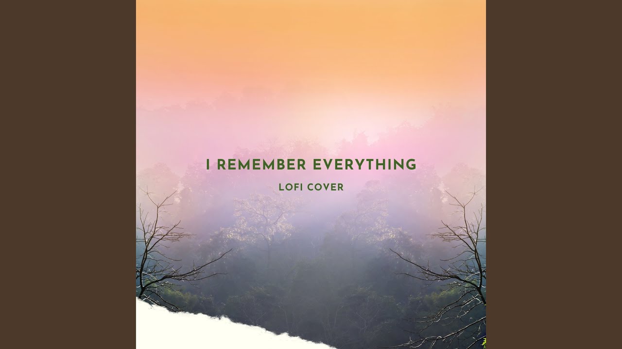 I Remember Everything (Lofi Cover) (I Wish I Didnt But I Do Remember ...