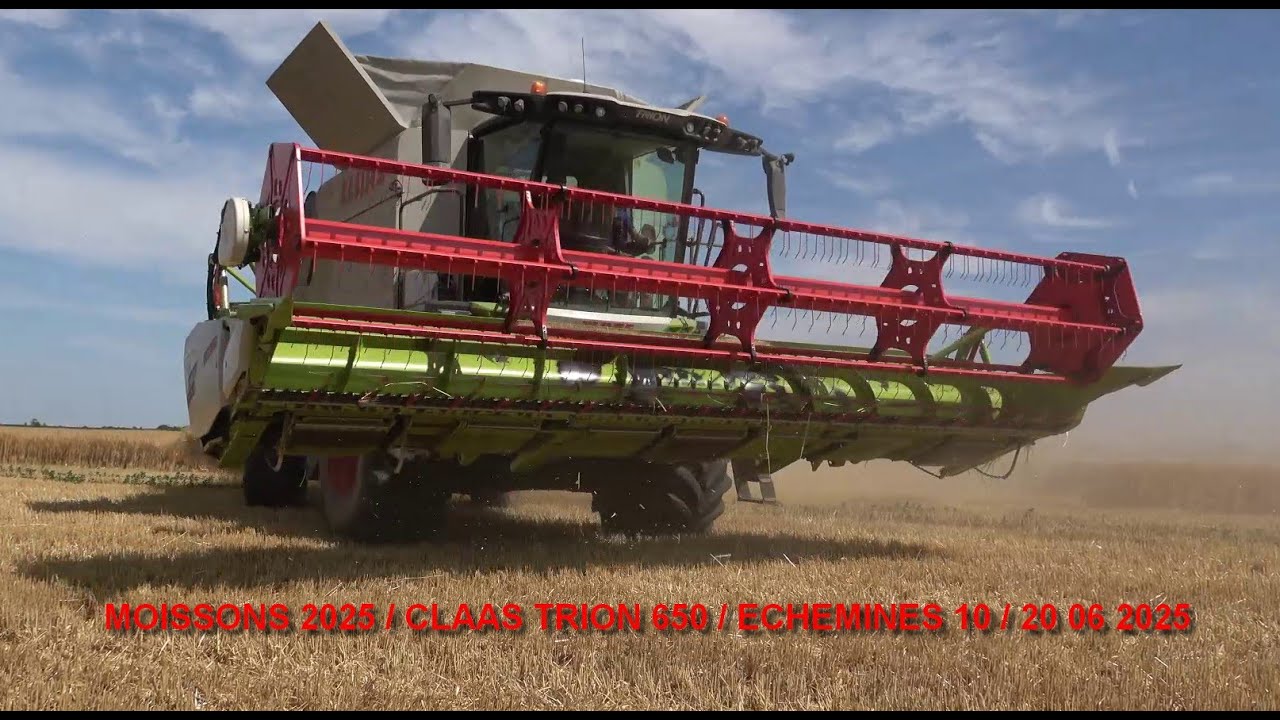 MOISSONS 2025 / CLAAS TRION 650 /ECHEMINES /AUBE /20 06 2025 / - YouTube