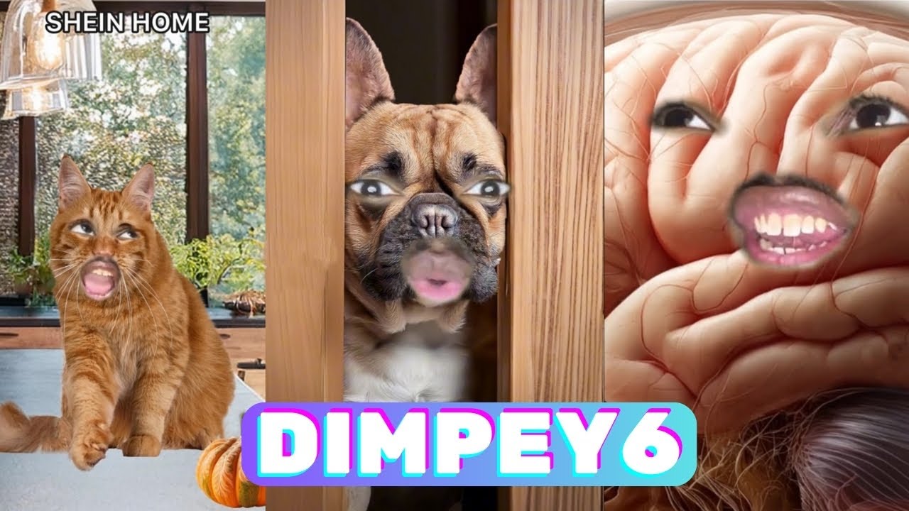 New Best Dimpey6 Tik Tok 2024 - New Funny Tik Tok Memes - TikTok Famous ...