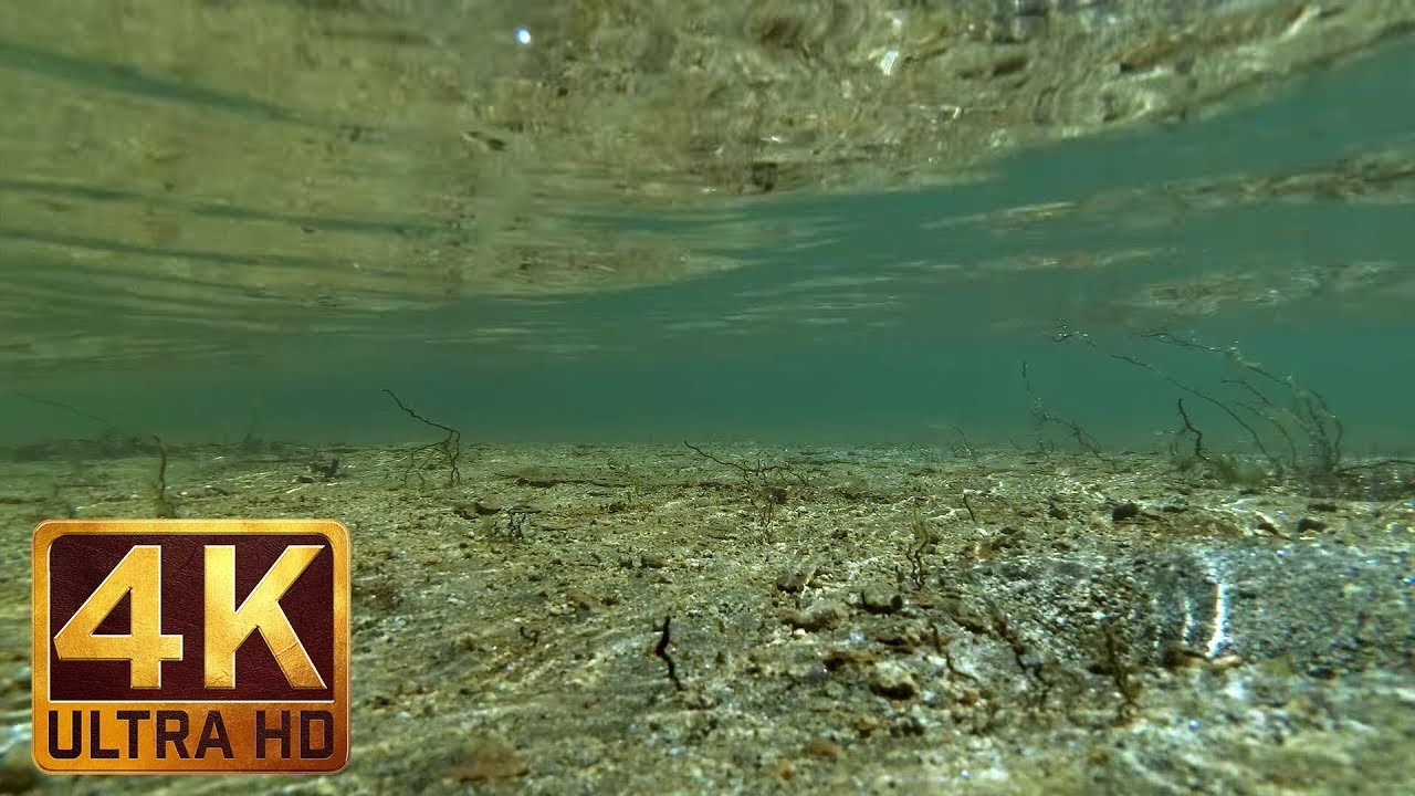 3 Hours of 4K Ultra HD Underwater Relaxation Video | Coldwater Lake, Mt ...