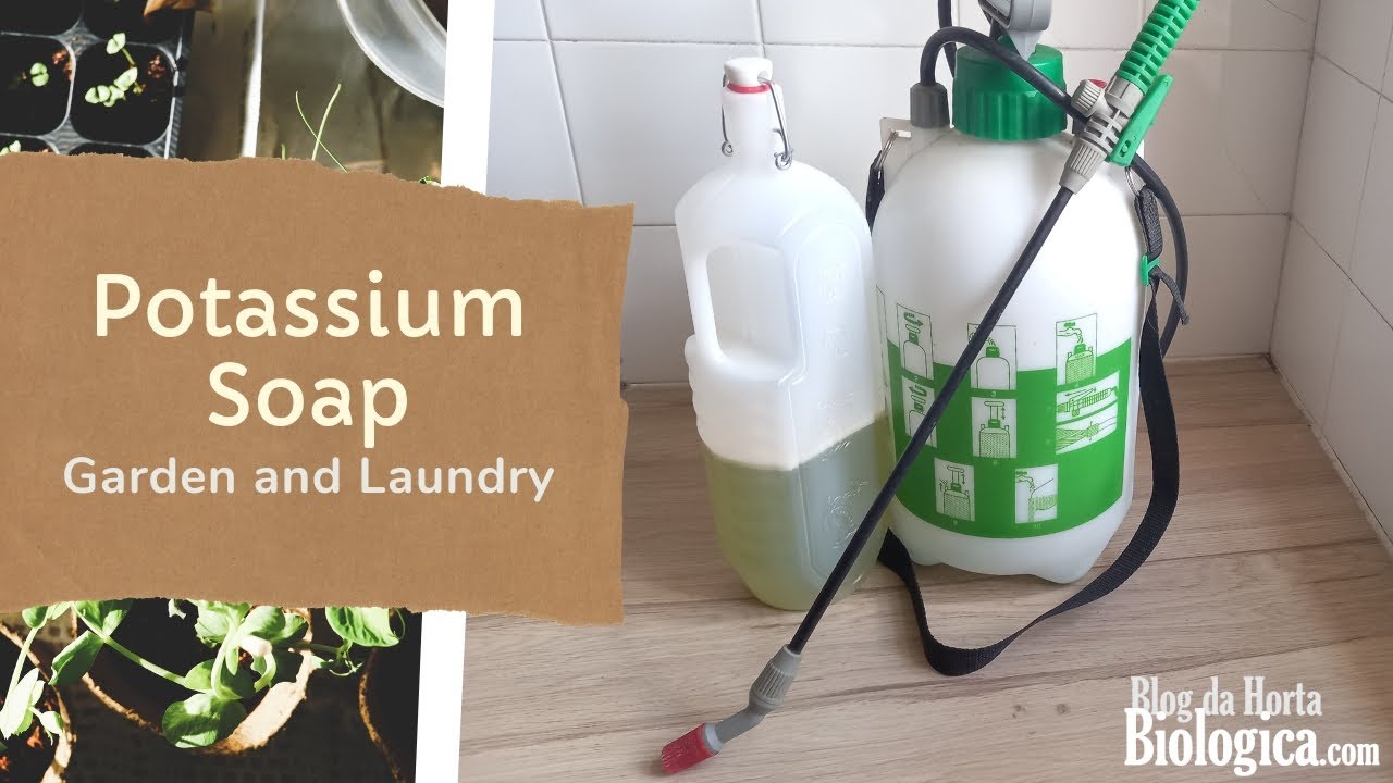 Potassium Hydroxide Liquid Soap for Garden Pests and Laundry - YouTube