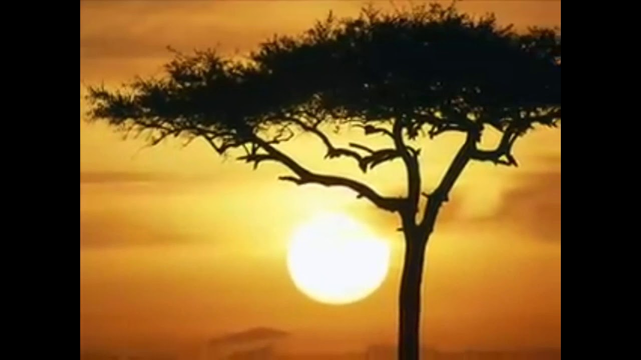 QUE SIGNIFICA LA VIDA. - YouTube